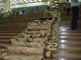 Heroji bez medalje i - medalje bez heroja...